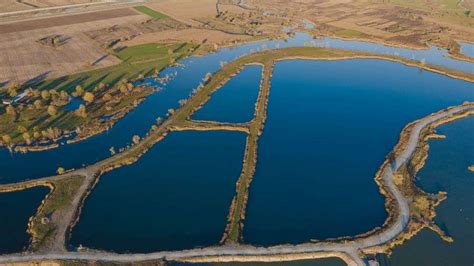 What Are The Main Flood Certification Requirements