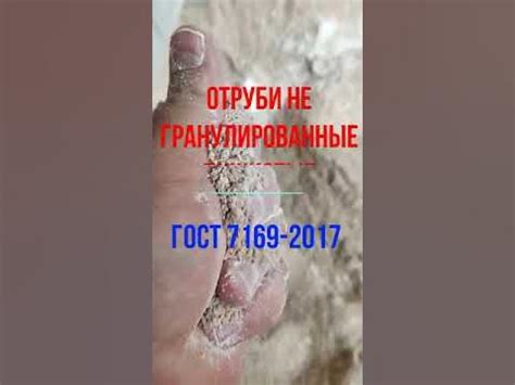 Отруби пшеничные_пушистые_негранулированные - YouTube