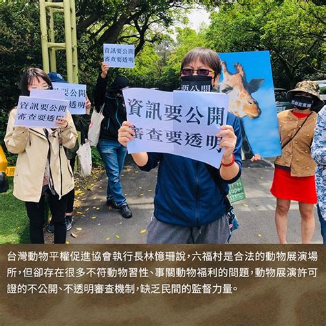 抗議農委會閉門審查「六福村輸入長頸鹿」案行動紀錄