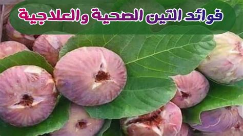 ما لا تعرفه عن فوائد التين الصحية والعلاجية تعرف عليها Youtube