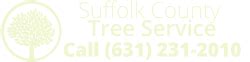 Tree Service Tree Removal In Long Island NY Suffolk Tree Services
