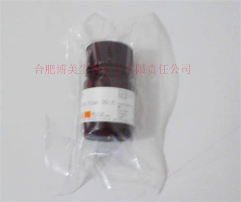 牛二型胶原蛋白价格 厂家 品牌 采购 丁香通