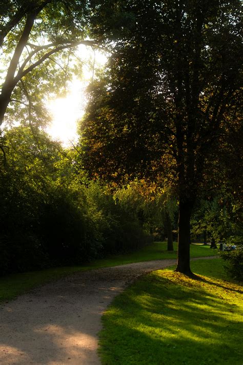 Babar Azam Wallpaper Photos Download The Best Free Babar Azam