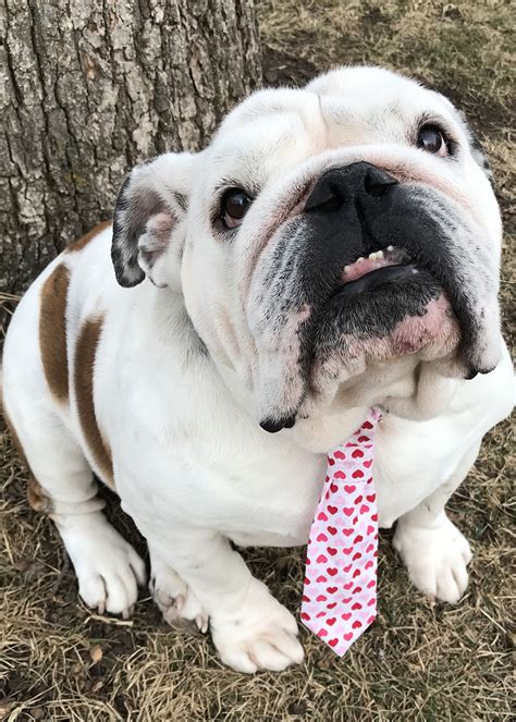 Griff Joins Drake Choir For Singing Valentines Fundraiser Drake