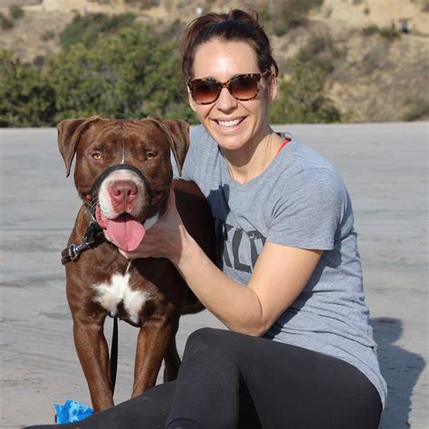 Hutch Angel City Pit Bulls Los Angeles Dog Rescue