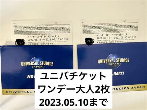 ユニバーサルスタジオジャパンパス大人2枚 遊園地