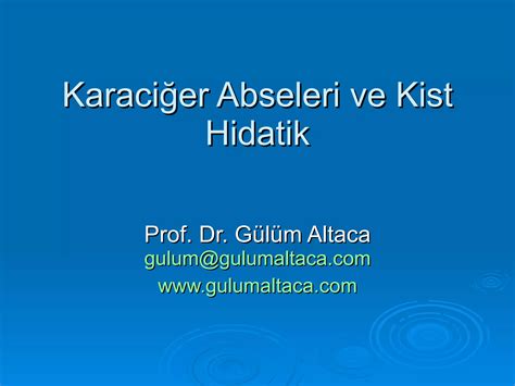 Karaciğer Kist Hidatid Karaciğer Abseleri Amib Absesi Ppt