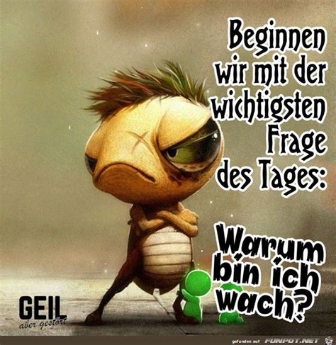 Funny Pictures Funny Quotes Funny