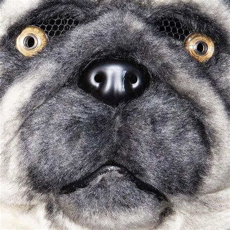 Blockhead The Cella Dwellas Knew Lyrics Genius Lyrics