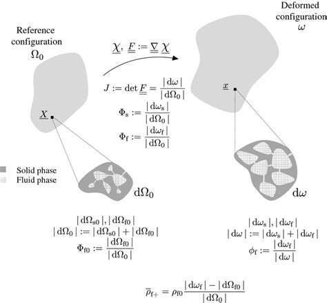 Schematic Of The Reference And Deformed Configurations With Associated Download Scientific