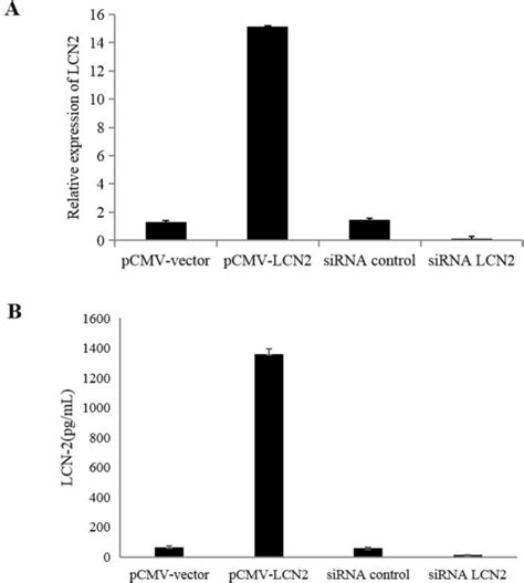 Regulation Of Lcn 2pi3kakt On Tnf α Induced Inflammatory Response Of