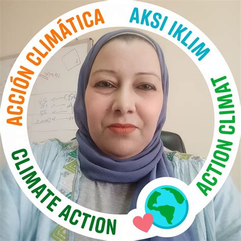 Cairo Center For Development Benchmarking Weps