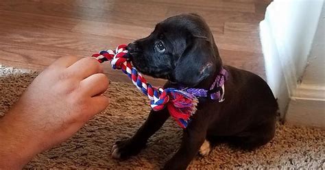 Is This How You Get Fake Points Album On Imgur