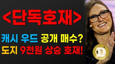 도지코인 캐시 우드의 돌발 공개에 9000원 목표 기대 Youtube