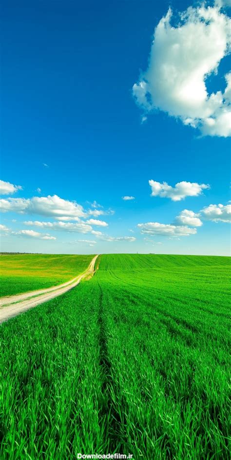 والپیر های زیبا از طبیعت با کیفیت بالا برای پس زمینه گوشی با « ابعاد