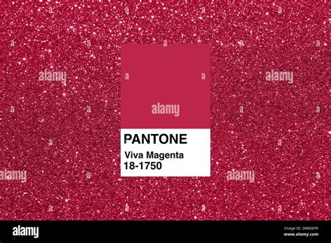 Dnipro Ukraine 01 Februar 2021 Viva Magenta Hintergrund Mit