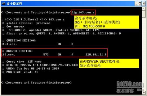 Dns Dns Dig Linux