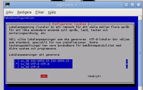 Raspberry Pi Raspi Config