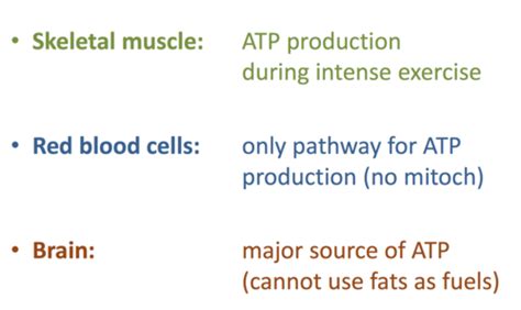Animal Bio Final Flashcards Quizlet