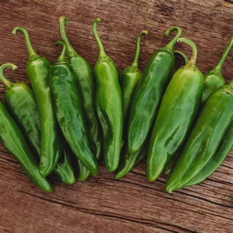 Anaheim Pepper Thresh Seed Co