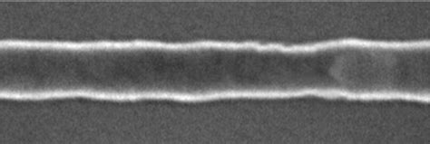 Special Section Guest Editorial Line Edge Roughness