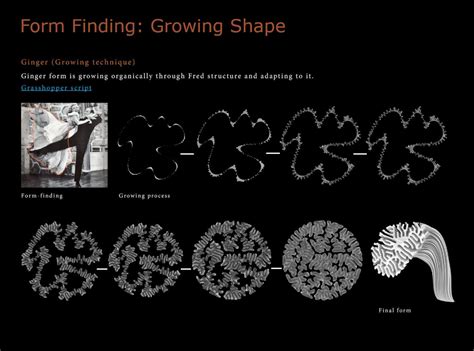 Computational Form Finding Wsa On Display 2021