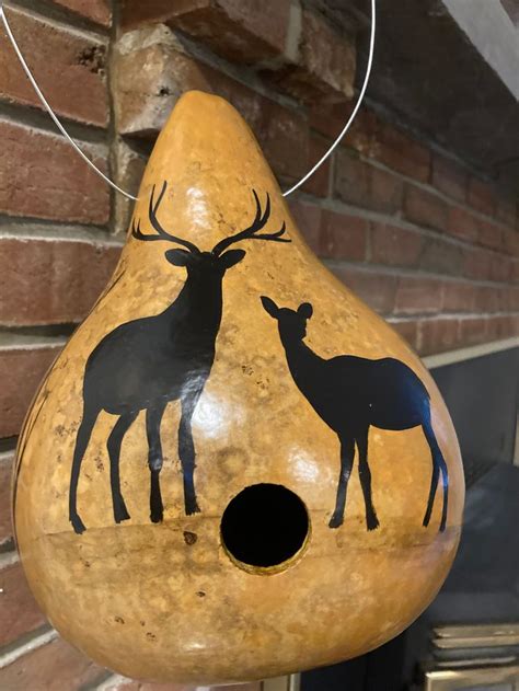 Hand Painted Gourd Birdhouse With Deer Silhouette Etsy Painted