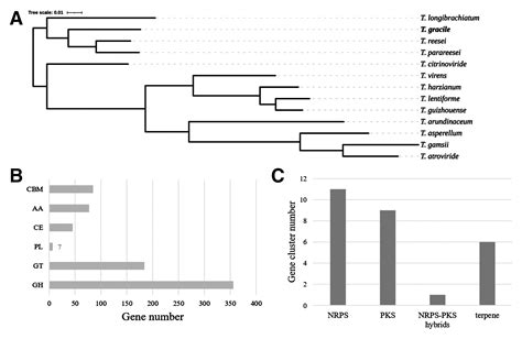 High Quality Genome Sequence Data Of Trichoderma Gracile Hk011 1 A Fungal Antagonistic Agent