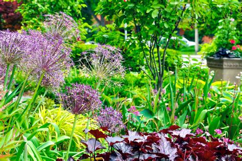15 Flowering Shade Perennials For Fall