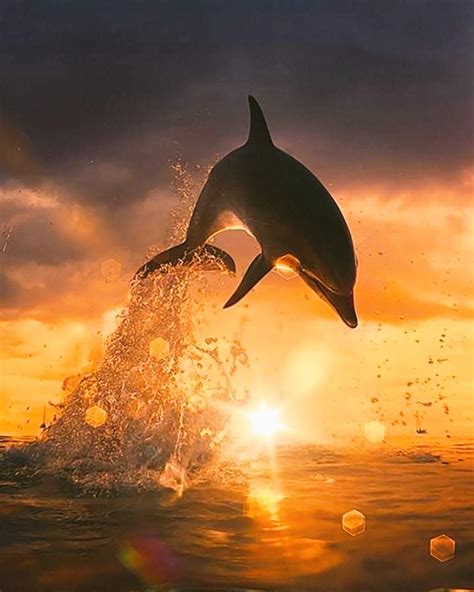 Doctor On Twitter Rt Ghulama86817368 Friday Blessings Friends Have A Wonderful Weekend 🌻🌼🌸