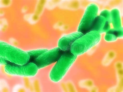 Bacterias stock de ilustración Ilustración de ataque