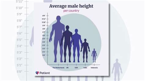 Is This Graph Comparing Average Male Height By Country Accurate