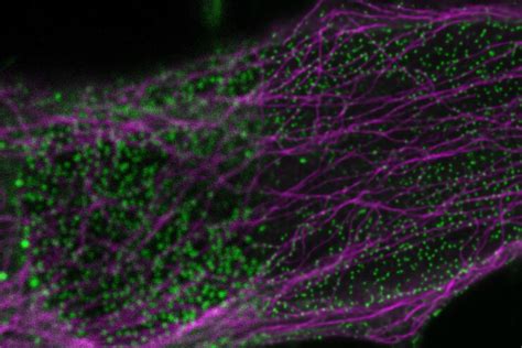 Science Lab Leica Microsystems