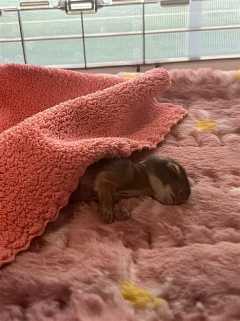 Gina Scandariato Added A New Photo Gina Scandariato