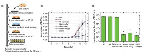 Bactericidal Efficiency Of Nanostructured Au Surfaces A Schematic Download Scientific