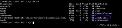 【aws入门】aws Efs挂载到ec2实例 Csdn博客