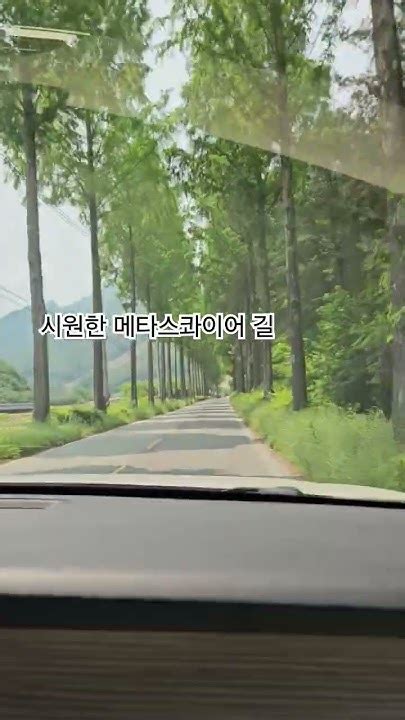 금수저김용빈미스터트롯3 Youtube