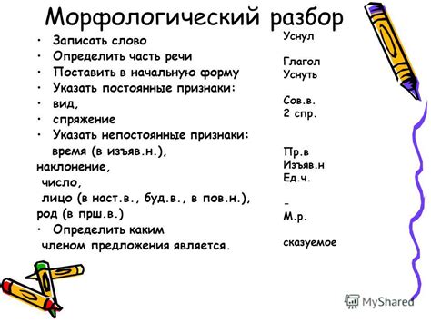 Истории из жизни ведущей морфологический разбор