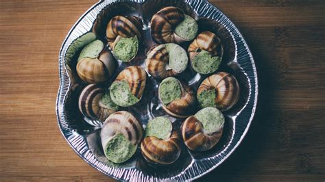 Apa Arti Escargot Hotel Istilah Yang Lagi Viral Dan Trending Di Tiktok