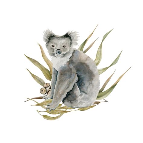 Oso Koala con hojas de árbol de goma de eucalipto Ilustración en