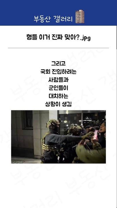 이거 진짜 맞아 부동산갤러리 윤석열 계엄령 Youtube