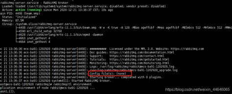 Rabbitmq 安装以及一些常用命令（非容器）并修复rabbitmq的amqp漏洞rabbitmq Management 漏洞 Csdn博客