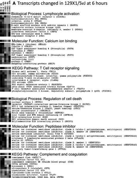 Transcripts In Enriched Pathways That Were Altered In Resistant Download Scientific Diagram