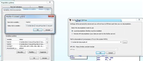 Ida Plugin Refuses To Decompile Decompilation Is Not Properly