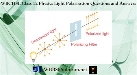 Wbchse Class 12 Physics Light Polarisation Questions And Answers
