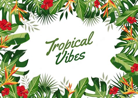 Premium Vector Tropical Vibes Background Vector Design