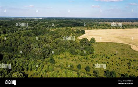 Green Deciduous Forest Next To A Farm Field Landscape From A Birds