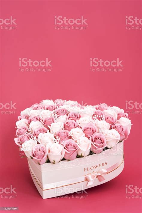 꽃의 꽃 분홍색과 흰색 장미의 큰 꽃다발은 분홍색 배경에 마음의 모양의 상자에 2월에 대한 스톡 사진 및 기타 이미지 2월