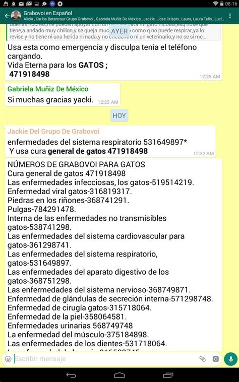 Grabovoi Number Sequence For The Mind Codigos Grabovoi 05d Artofit