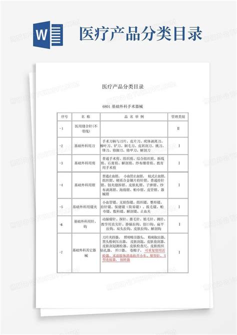 医疗产品分类目录word模板下载编号lowxgavv熊猫办公